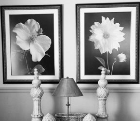 Custom Art & Picture Framing Services – Over 20 Years of Service.